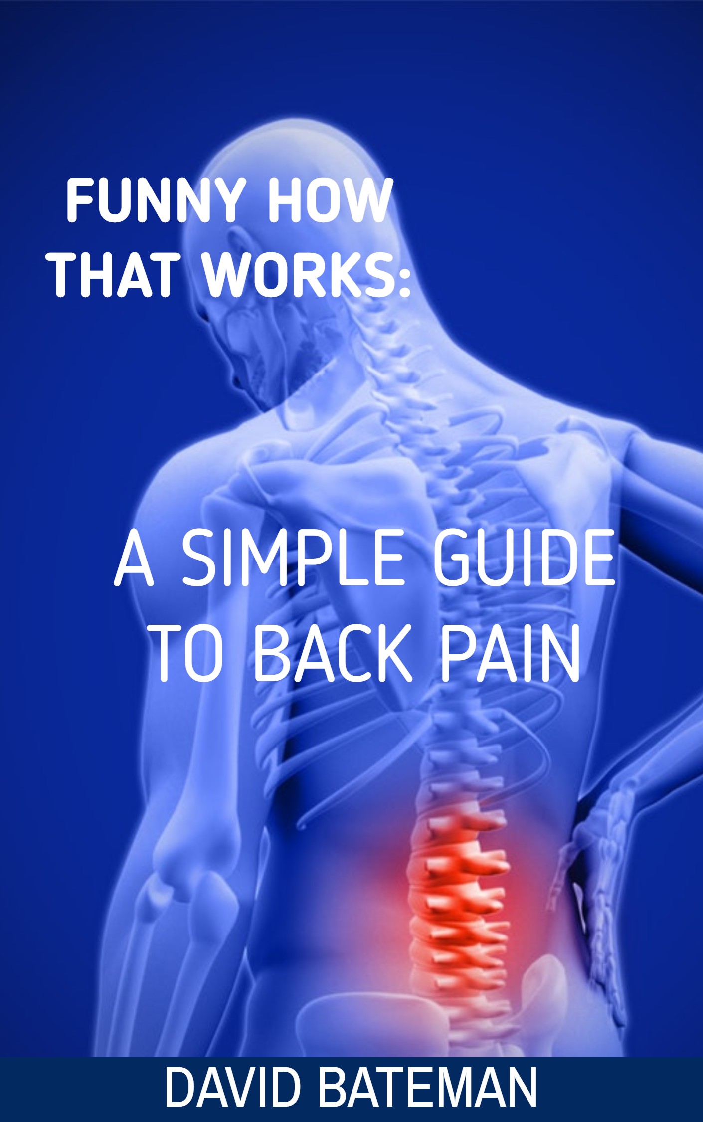 Back Pain Guide | Therapy and Exercise Refined